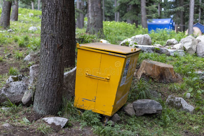 Trash Bin in Forest Under a Tree Stock Image - Image of scenery ...