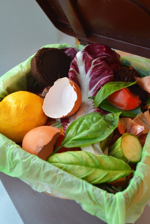 Trash Bin Full of Organic Waste Stock Photo - Image of decompose ...