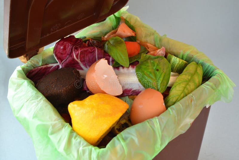Trash Bin Full Of Organic Garbage Stock Image - Image of scraps ...