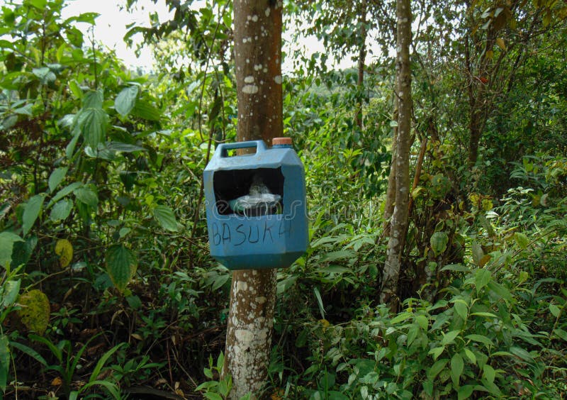 Trash can stock photo. Image of nature, vegetation, plant - 322677824