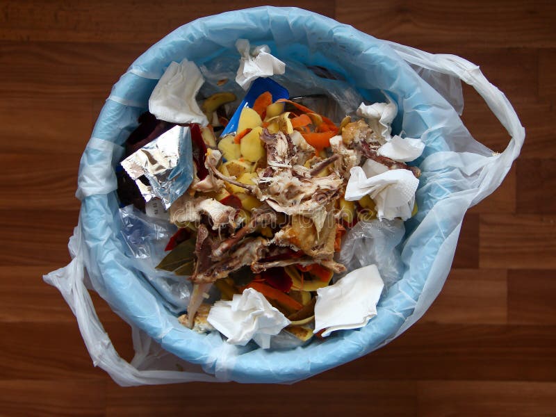 Trash Can with Chicken Leftovers Stock Image - Image of loss, plastic ...