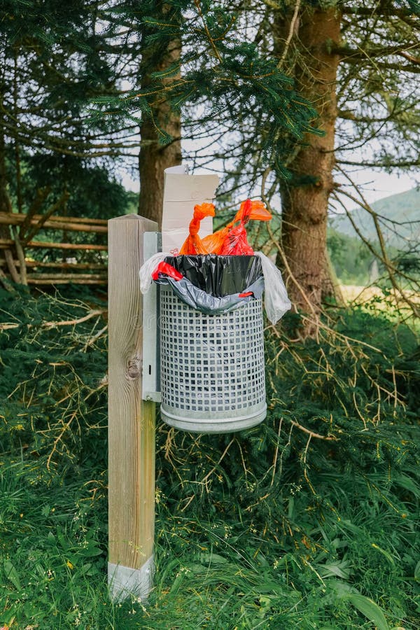 Trash Can Full of Garbage in a Pine Spruce Forest. Clean Forest Concept ...