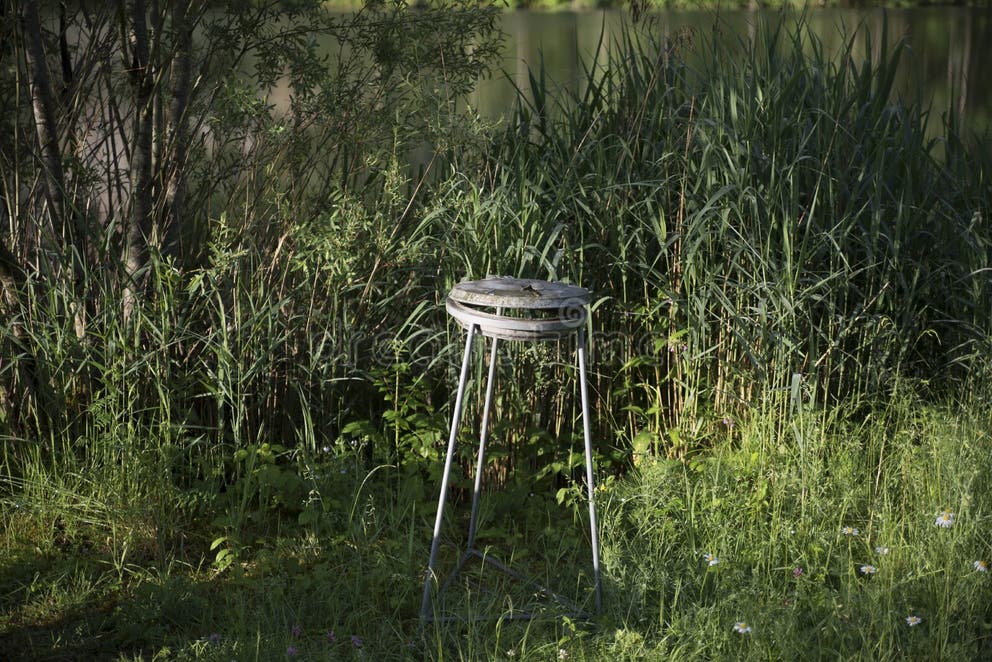 Trash can or garbage can stock image. Image of filth - 246609705