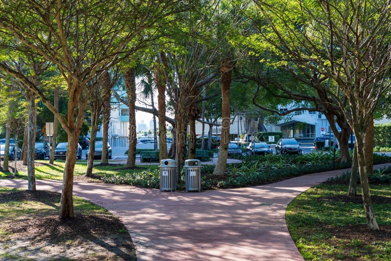 Serene Park Pathway with Urban Greenery. Editorial Stock Image - Image ...