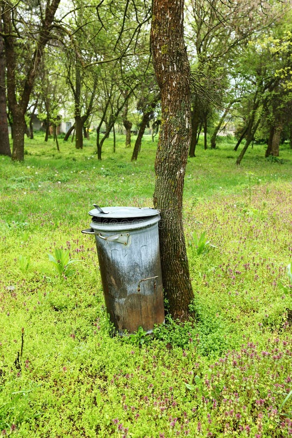 Rusty Trash Can Stock Images - Download 2,376 Royalty Free Photos
