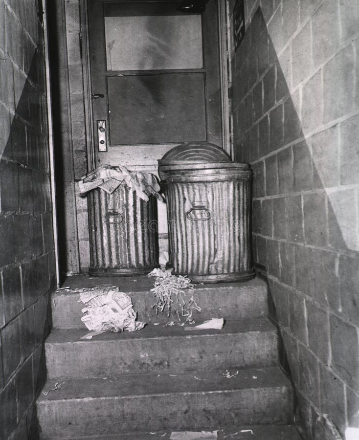 Trash Cans Picture. Image: 222389455