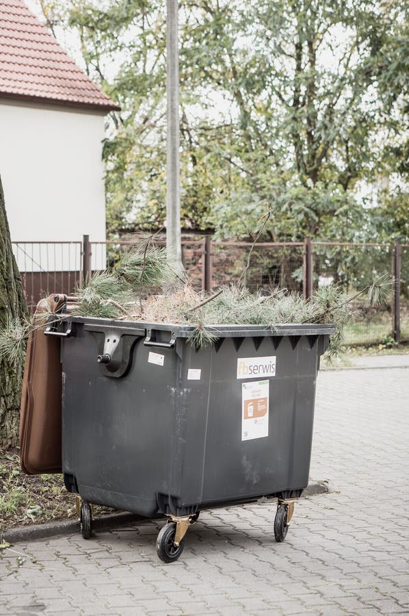 Trash container editorial image. Image of pine, street - 79058365