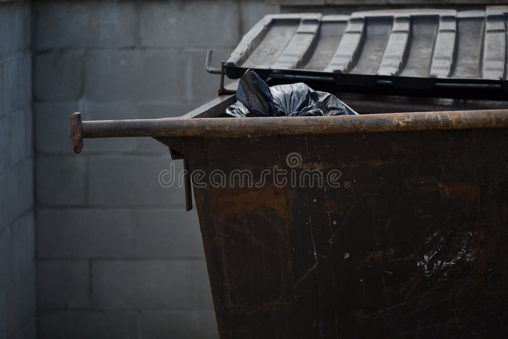 Trash Dumpster stock image. Image of disposable, refuse - 43786247