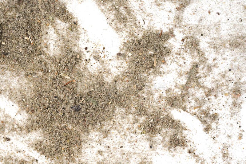 Trash, Dust, Dirt Isolated on a White Background Closeup. Texture of ...