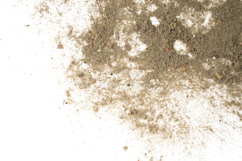 Trash, Dust, Dirt on a White Background Closeup. Texture of Garbage ...