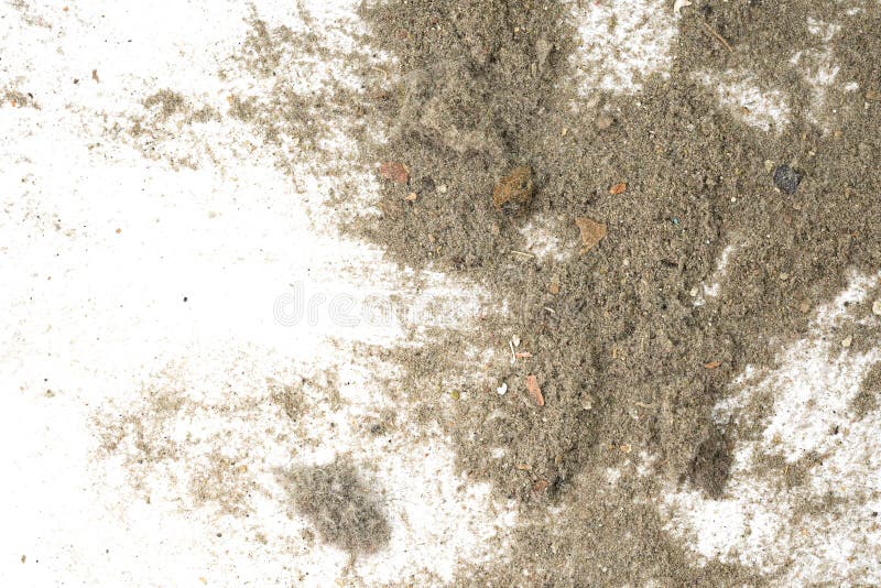 Trash, Dust, Dirt on a White Background Closeup. Texture of Garbage ...