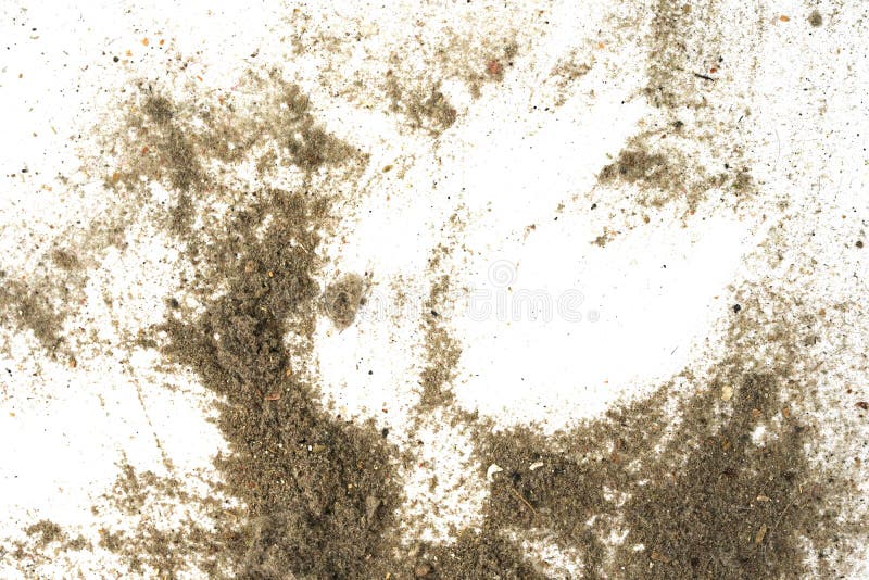 Trash, Dust, Dirt on a White Background Closeup. Texture of Garbage ...