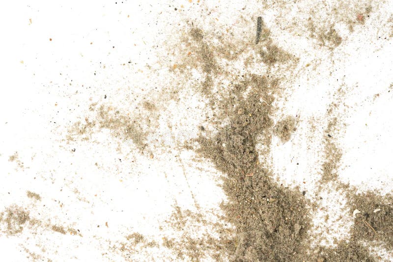 Trash, Dust, Dirt on a White Background Closeup. Texture of Garbage ...