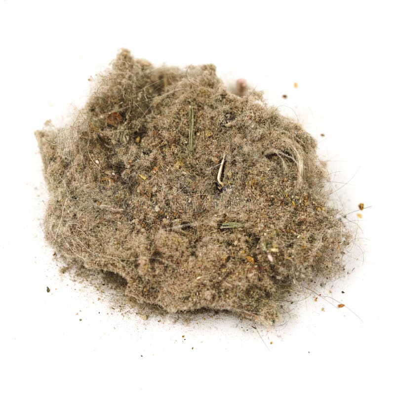 Trash, Dust, Dirt Isolated on a White Background Closeup. Texture of ...