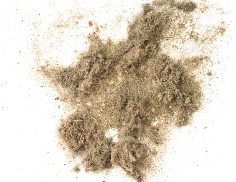 Trash, Dust, Dirt on a White Background Closeup. Texture of Garbage ...