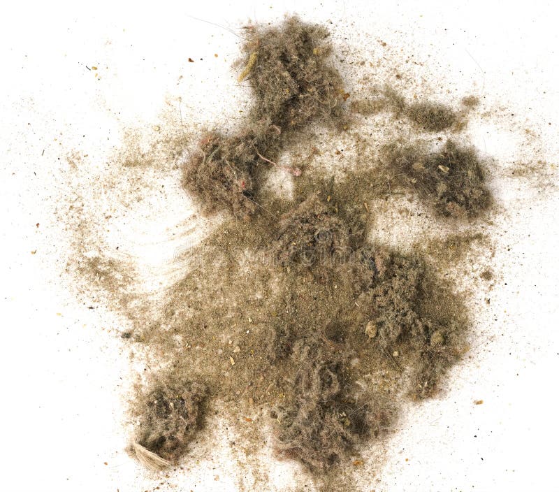 Trash, Dust, Dirt on a White Background Closeup. Texture of Garbage ...
