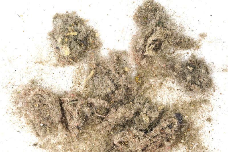 Trash, Dust, Dirt on a White Background Closeup. Texture of Garbage ...