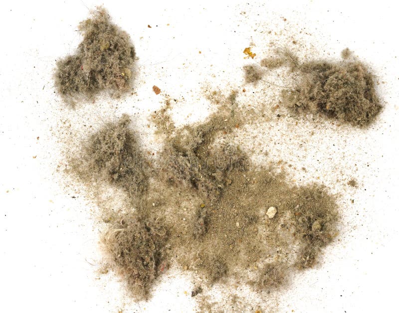 Trash, Dust, Dirt on a White Background Closeup. Texture of Garbage ...