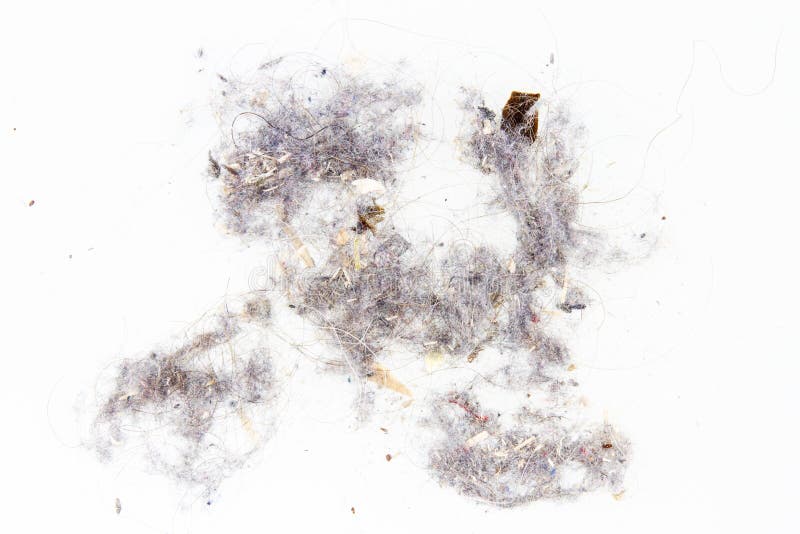 Trash, dust pile stock photo. Image of dirt, macro, litter - 241391674