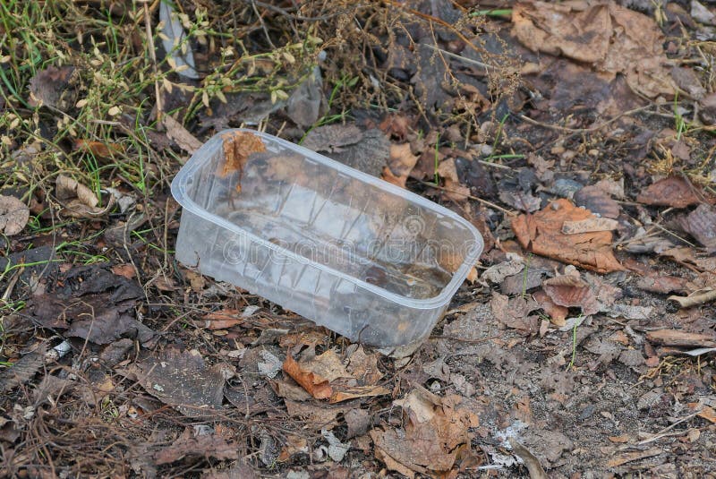 Trash from an Empty White Plastic Box Stock Image - Image of grass ...