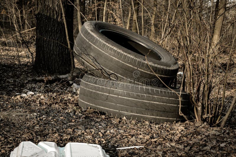 Trash Environment. Rubbish Plastic Waste Tire on Forest Woodland ...