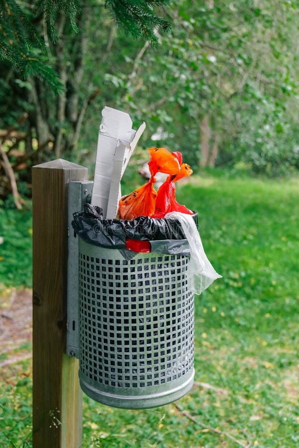 Trash in the Forest. Clean Forest Concept.Garbage Collection in Forests ...