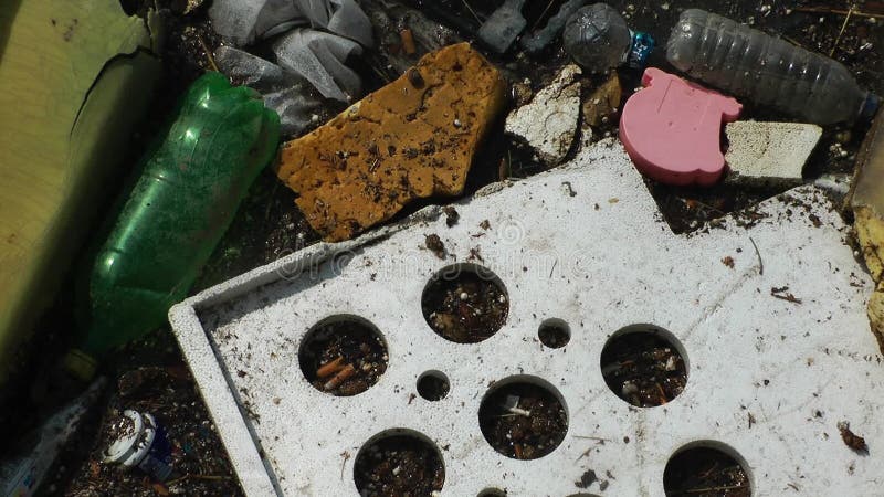 Trash and Garbage Floating on the Surface of the Water. Water Pollution ...