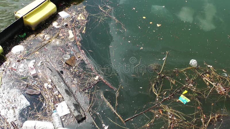 Trash and Garbage Floating on the Surface of the Water. Water Pollution ...