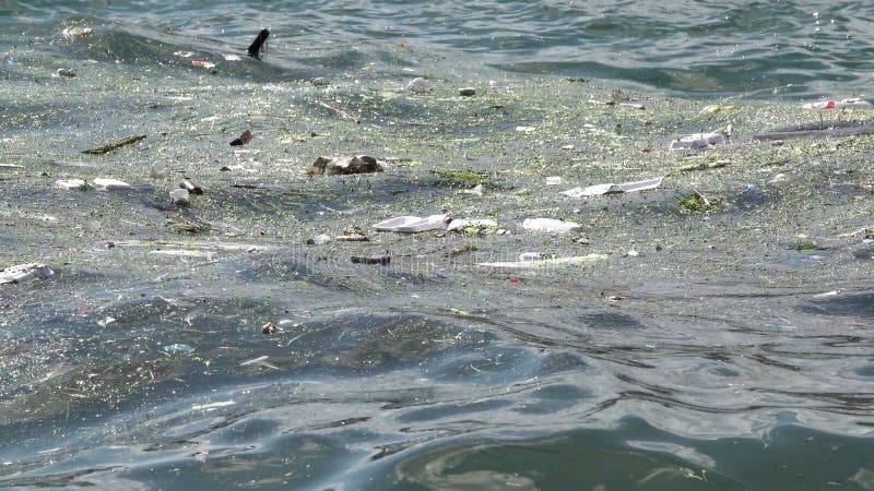 Trash and Garbage Floating on the Surface of the Water Stock Video ...
