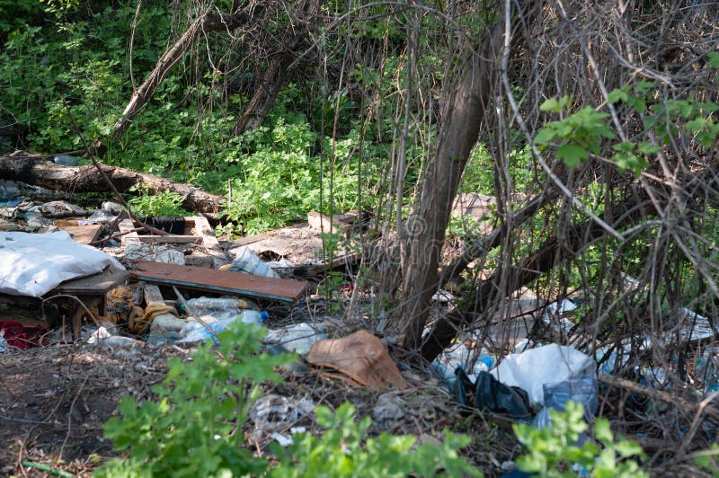 Trash and Garbage among Green Grass and Trees in Forest Stock Photo ...