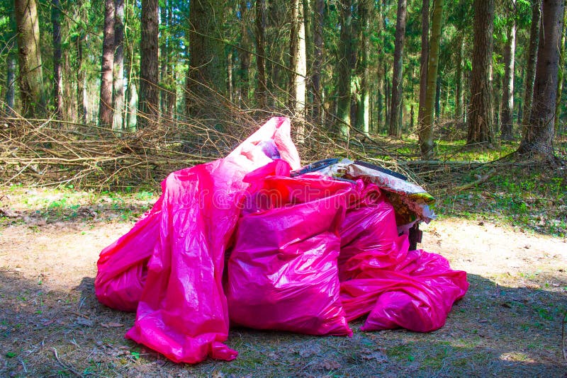 Trash, Garbage and Plastic in a Forest, Pollution Stock Image - Image ...
