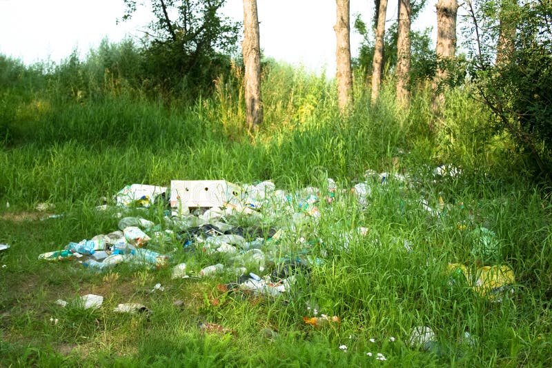 Trash in the grass stock image. Image of muck, jumble - 52005305