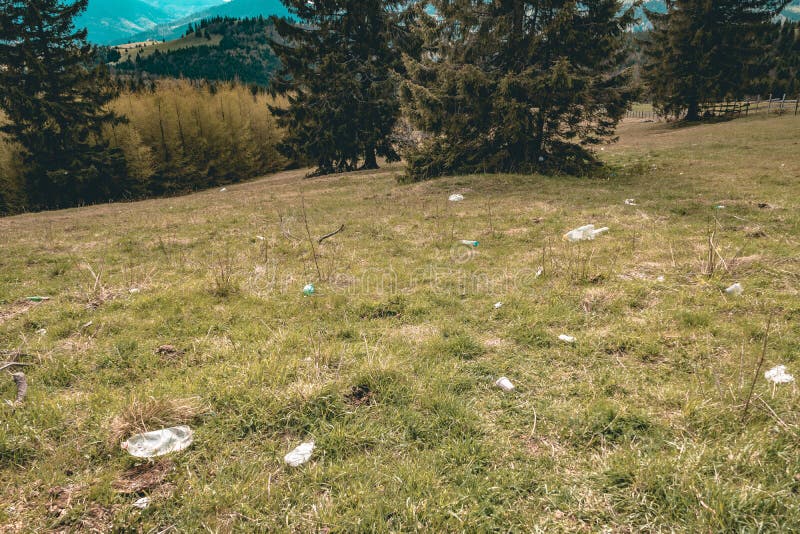 Trash on the Ground in Nature Stock Image - Image of destroyed, guilty ...