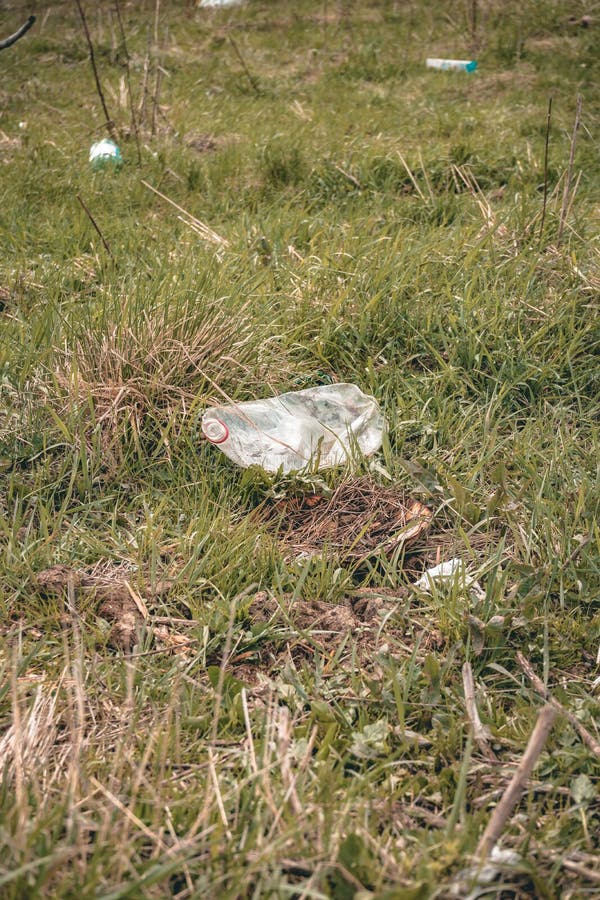 Trash on the Ground in Nature Stock Image - Image of ground, danger ...