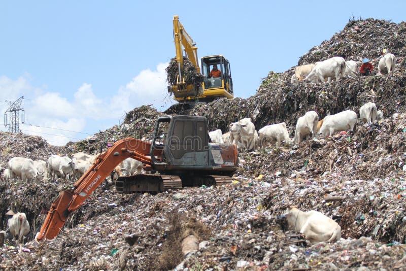 The trash hill editorial photo. Image of health, organic - 38224911