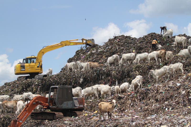 The trash hill editorial stock photo. Image of trash - 38224953