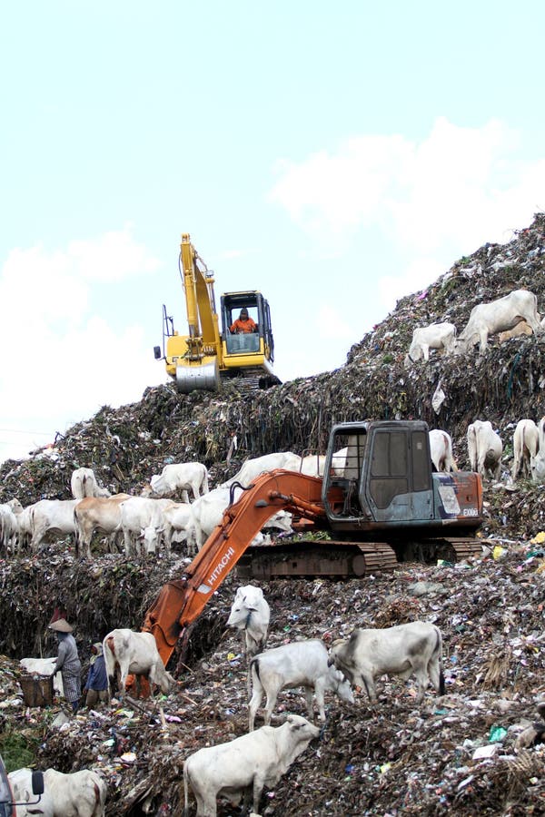 The trash hill editorial stock photo. Image of disease - 38224968