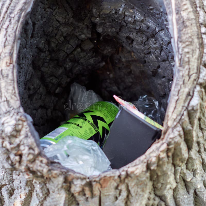 Trash in the Hollow Tree, Nature Protection Concept, Ecology. Plastic ...