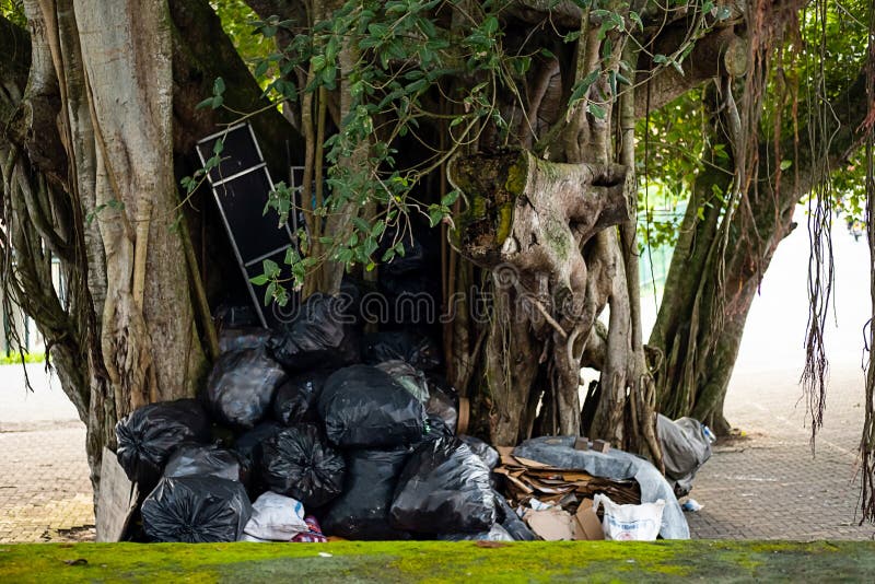 Trash Inside Huge Tree. Garbage Pile. Environmental Pollution Concept ...