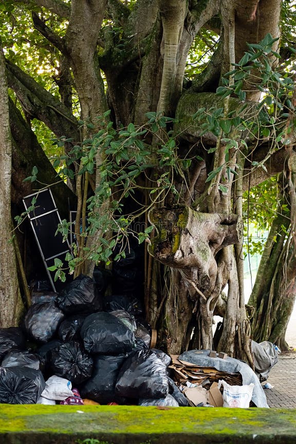 Trash Inside Huge Tree. Garbage Pile. Environmental Pollution Concept ...