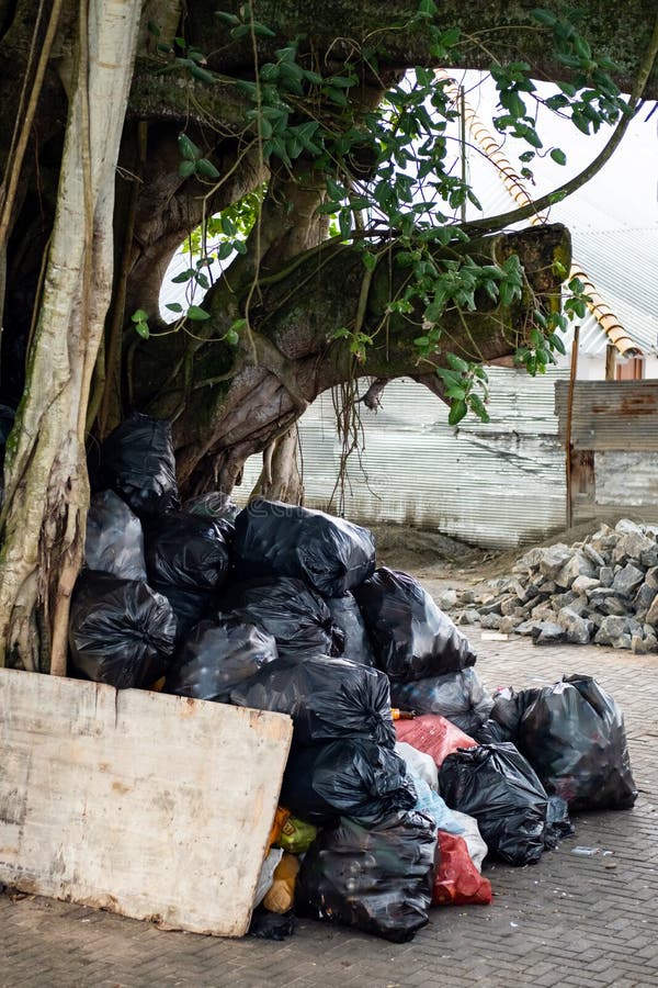 Trash Inside Huge Tree. Garbage Pile. Environmental Pollution Concept ...