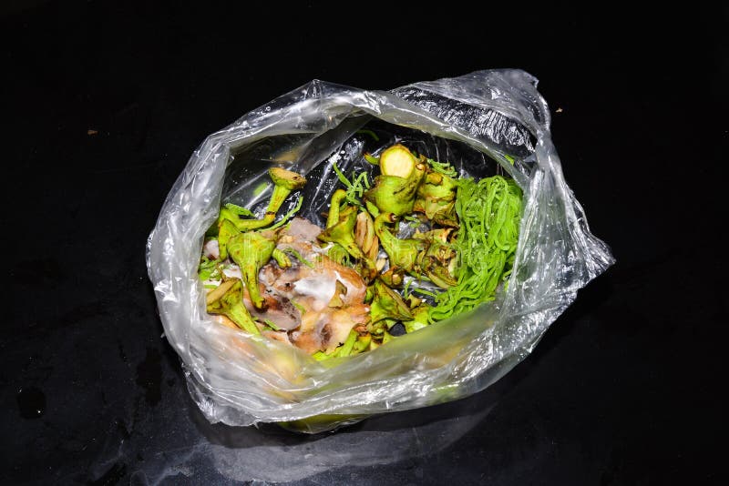 Trash in the Kitchen stock photo. Image of plastic, organic - 76408216