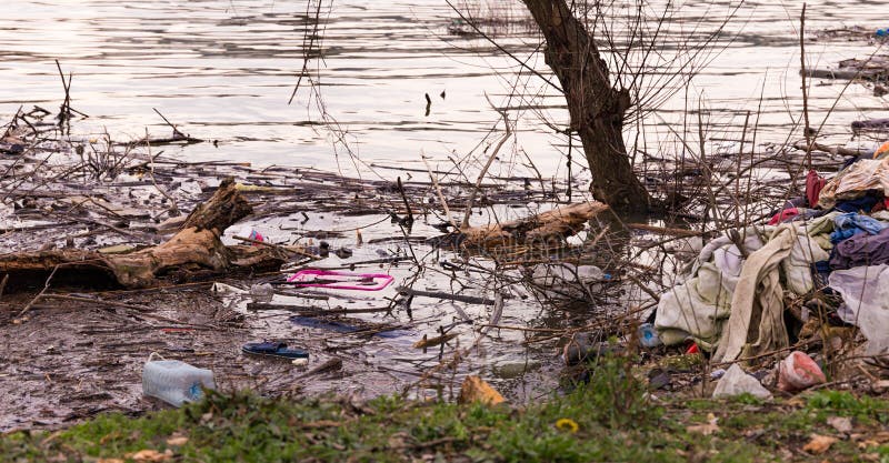 Trash Near the River Danube, Zemun Stock Photo - Image of food, ecology ...