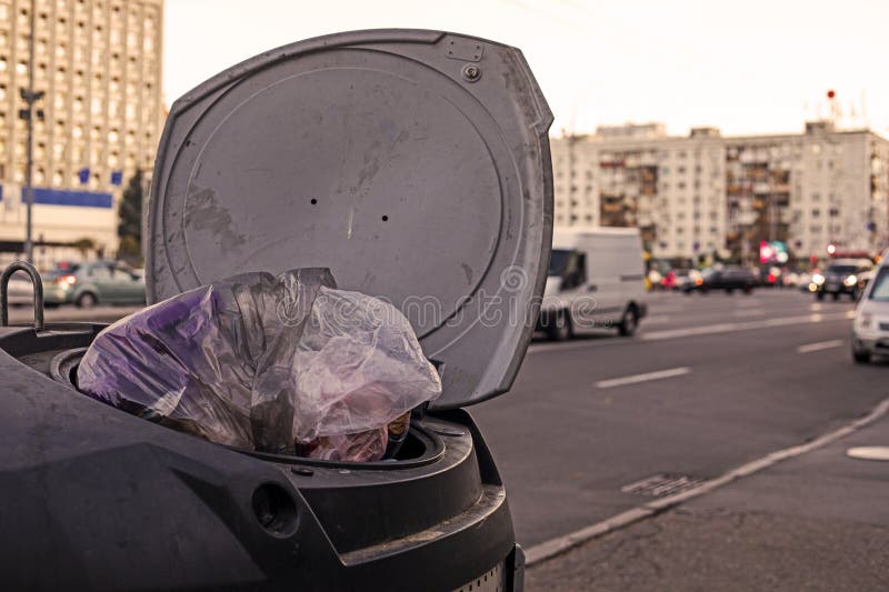 Trash Open Bin with Plastic Bags with Garbage Stock Photo - Image of ...