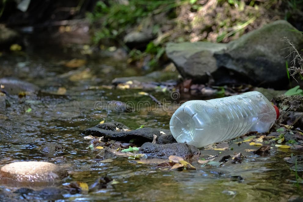 Trash in park at spring stock image. Image of bottle - 326499439