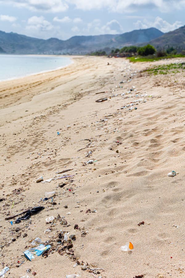 Trash and Plastic on the High Tide Line of a Tropical Beach in ...