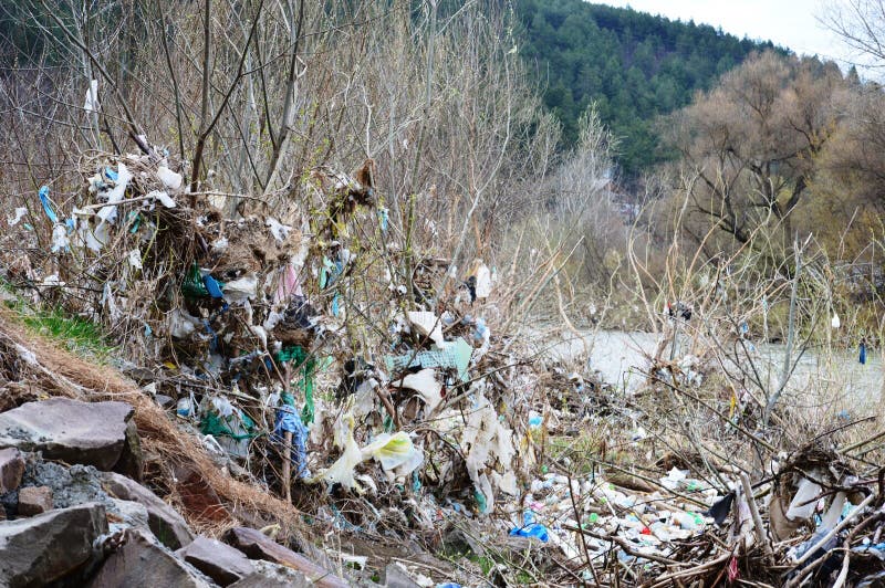 Trash and Plastic on the River Bank Stock Photo - Image of woodland ...