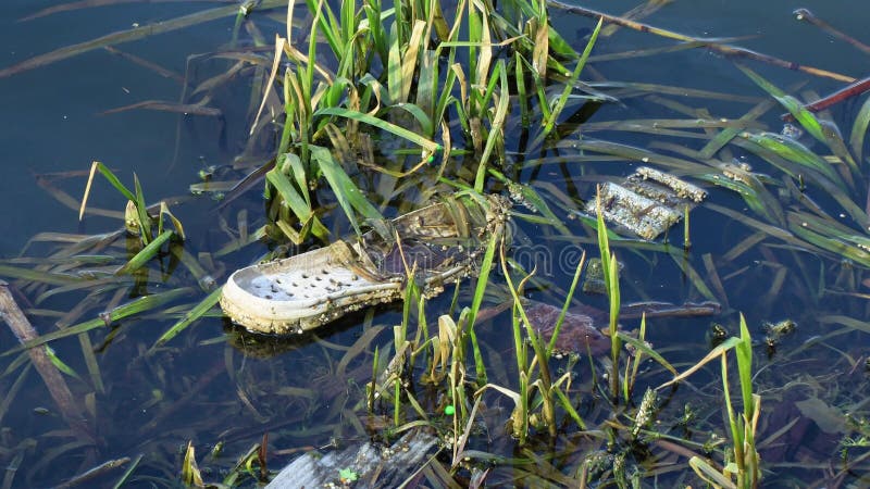 Trash on the River Bank. Water Pollution by Garbage is an Environmental ...