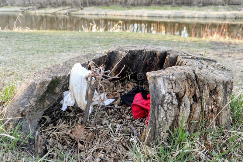 Trash is Scribbled Inside the Tree Stump Stock Image - Image of ...