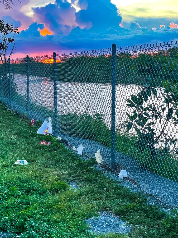 129 Everglades Pollution Stock Photos - Free & Royalty-Free Stock ...